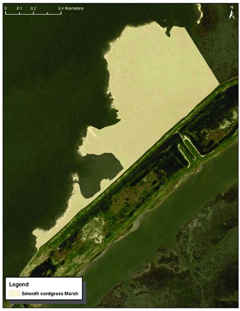 Plant Community Classification Of Pepper Grove Goat Island Reference