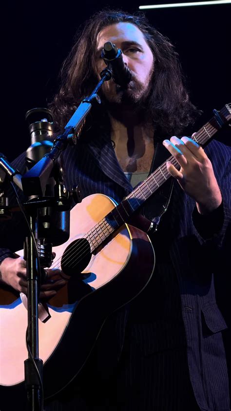 Hozier Live Performance Highlights From Unreal Unearth Tour Tiktok