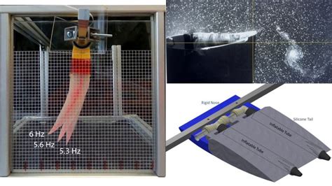 William Micklem Posted On Linkedin