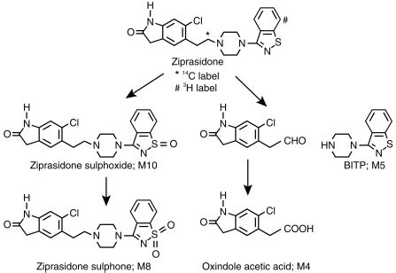 Identification Of The Major Human Liver Cytochrome P450 Isoform S