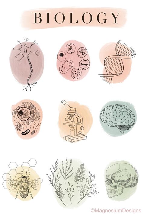 New Biology Science Sticker Pack 10 Pcs Etsy Biology Art Biology