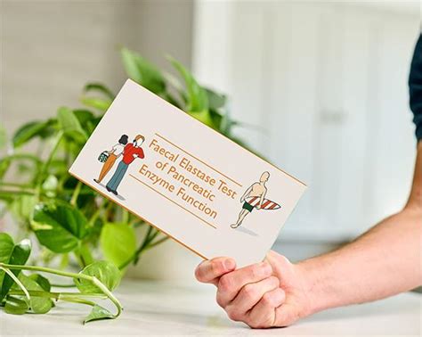 Faecal Elastase Test To Check Your Stool Elastase And Pancreas Enzyme