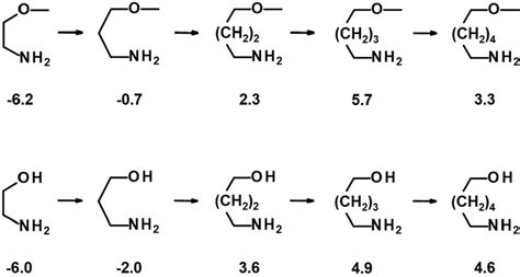 Strength Of Nh···o Hydrogen Bonding In αω Methoxy Alkylamines And