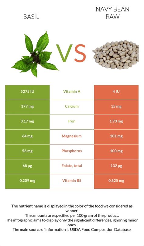 Basil Vs Navy Bean Raw — In Depth Nutrition Comparison