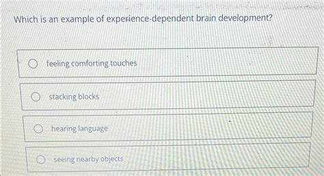 Solved Which Is An Example Of Experience Dependent Brain