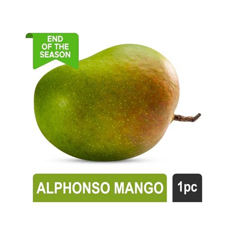 Alphonso Mango 1 Piece Hapoos Aam Price Buy Online At ₹105 In India