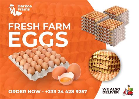 Fresh Farm Eggs Flyer And Poster Design