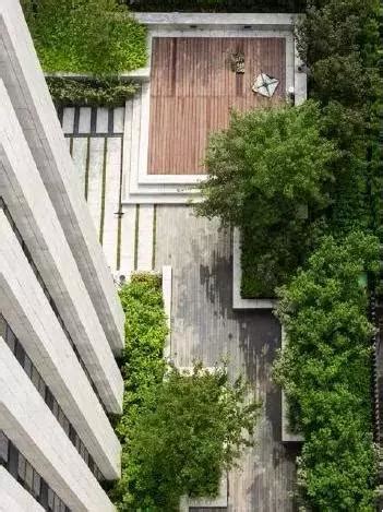 走進京城三環內的屋頂花園（二）——雨水花園 每日頭條