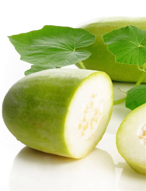 Winter Melon Benefits Healthier Steps