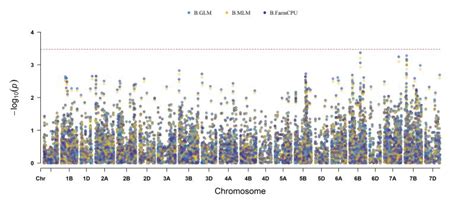 Multi Model Gwas Analysis I Performed Genome Wide Association Studies