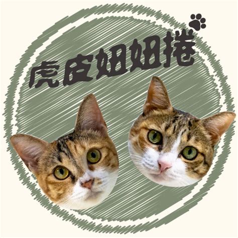 摄影师宇航员乔依琳 Podtail