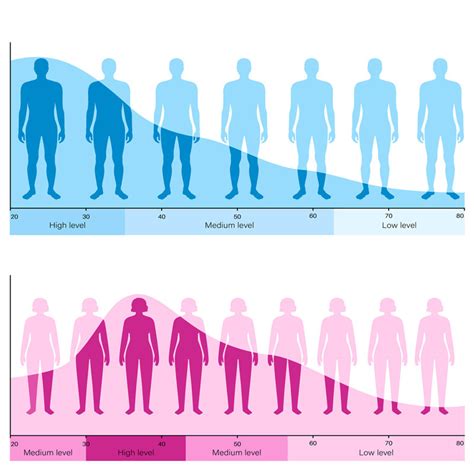 Testosterone Levels By Age Chart At Paige Odriscoll Blog
