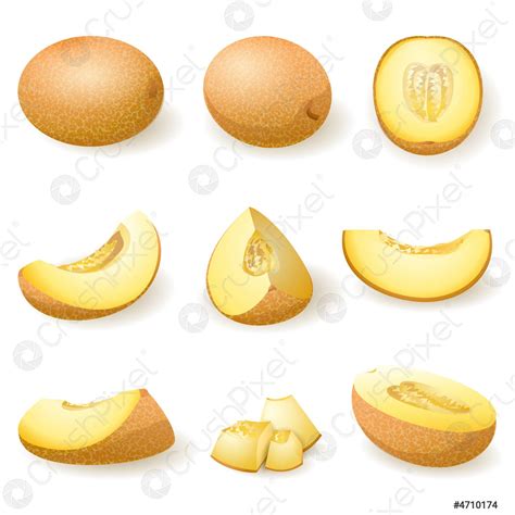 Melon Icons Set Cartoon Vector Snacking Cantaloupe Stock Vector