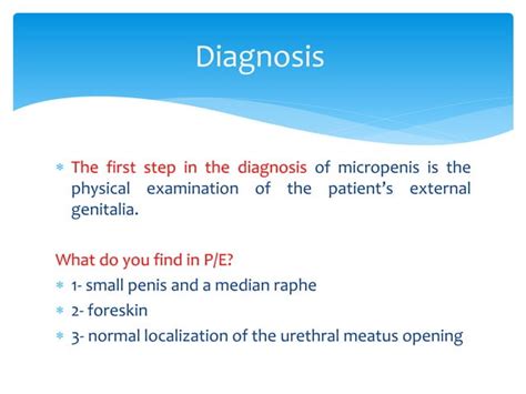 Micropenis Pptx