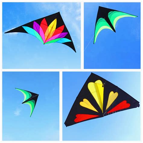 Free Shipping Professional Kites Flying Delta Kite Adults Kites Factory
