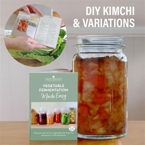 Fermentation Kit For Vegetable Pickles Sauerkraut Kimchi More