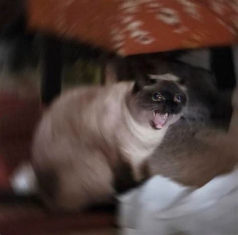 Andre Moore Andre Moore On Threads