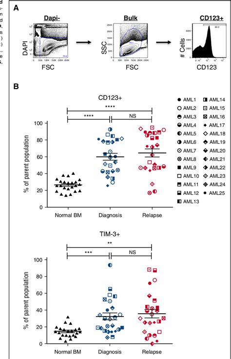 Figure 2 From Myeloid Neoplasia Evolution Of Acute Myelogenous Leukemia