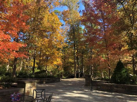 Garvan Pavilion And Terrace Garvan Woodland Gardens