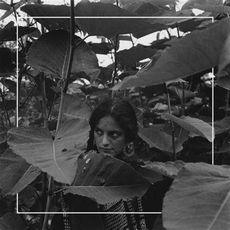 Noah Pred Homewards Freq