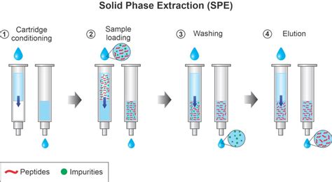 Figure 5 From Comprehensive Overview Of Bottom Up Proteomics Using Mass