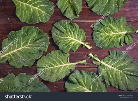 4087 Fotos De Collard Leaf Fotos Imágenes Y Otros Productos Fotográficos De Stock Shutterstock