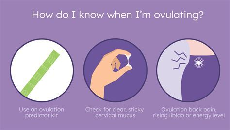 Can You Take Fertility Blend While On Your Period
