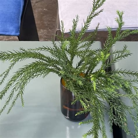 도르 Dore 소창 순면 Dore Record • Threads Say More