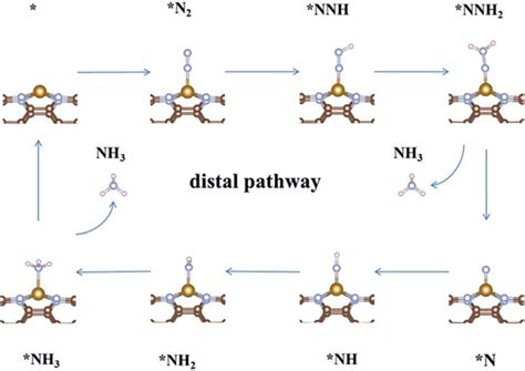 Optimized Geometric Structures Of Various Intermediates Along The