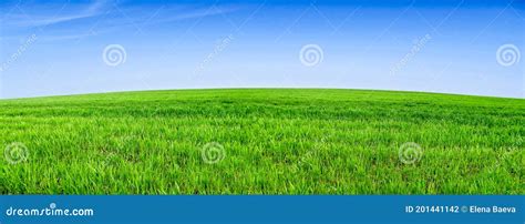 A Lawn With Green Grass All The Way To The Horizon Horizontal