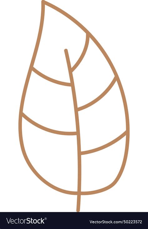 Tree Leaf Outline Royalty Free Vector Image Vectorstock