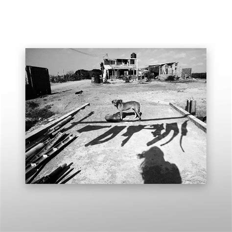 Sandra Ramirez Thecalle