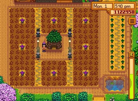 Stardew Valley Junimo Hut Layout In 2022 Stardew Valley Stardew Valley Layout Valley