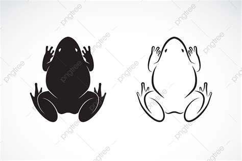 Frogs Vector Hd Png Images Vector Of Frogs Design On White Background