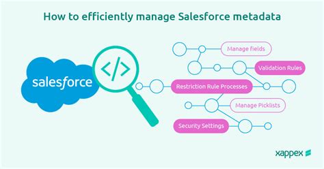 Your Guide To Managing Salesforce Metadata Efficiently In 2024 Xappex