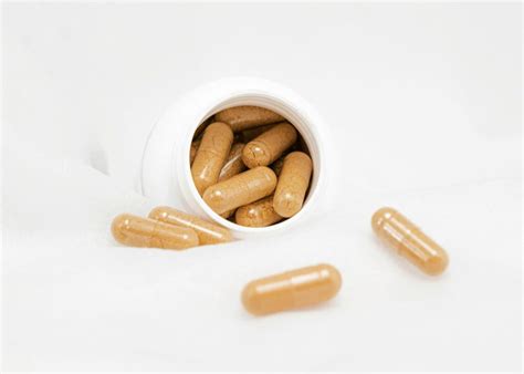 Is Your Pet Suffering From A Pet Turmeric Allergy Heres What You Need