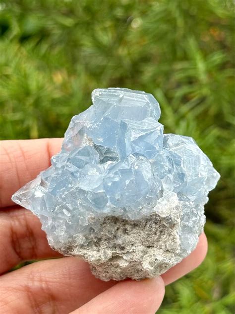 Cute Celestite Cluster Etsy