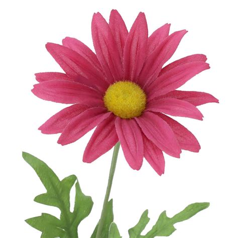 Dark Pink Daisy Stem 30