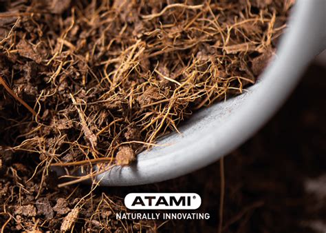 Growing With Coco Coir Benefits Tips And What You Need To Know