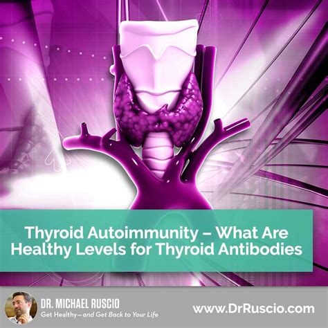 What Are Healthy Levels For Thyroid Antibodies