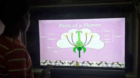 Pollination Definition Types Agents Of Pollination Youtube