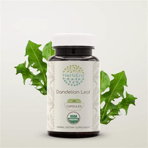 Herbera Dandelion Leaf Capsules Organic Herbal Dietary Supplement For