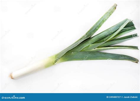 A Leek On A White Background Green Spring Vegetables Isolated