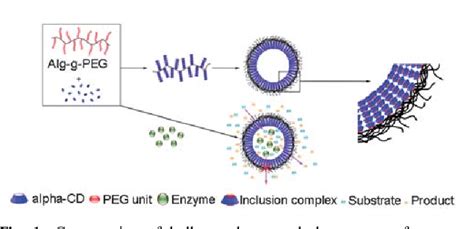 Figure 1 From Self Assembly Hollow Nanosphere For Enzyme Encapsulation