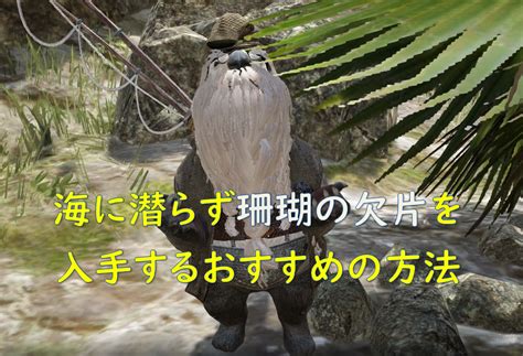 海に潜らず珊瑚の欠片を入手するおすすめの方法【黒い砂漠77】 ごくらくブログ