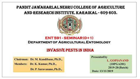 Invasive Pests In India Pdf Agriculture Industries