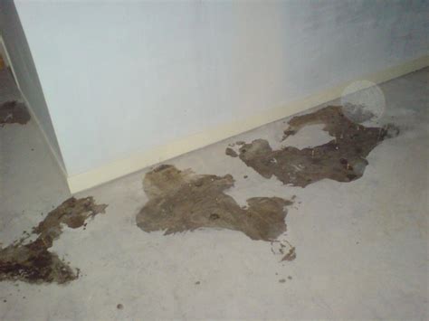 Epoxy Injection Kl Selangor Malaysia Services Specialist Expert