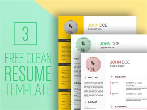 Free Clean Sketch Cvresume Template For Job Seeker