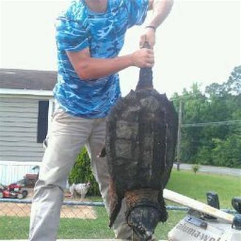 James Warwick Youtube