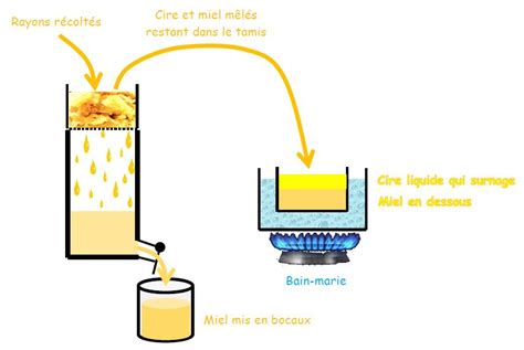 La Récolte 04 Lextraction En Méthode Dite Naturelle Carnet De Notes Apicoles